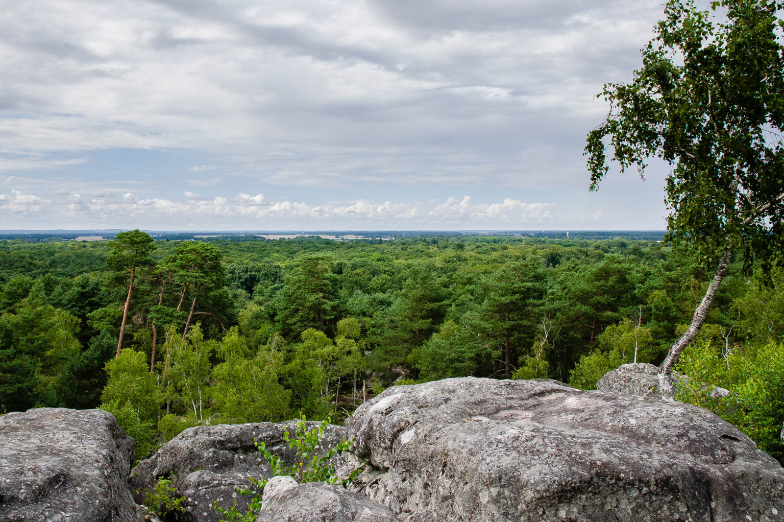 Destinations de Julie - Forêt de Fontainebleau
